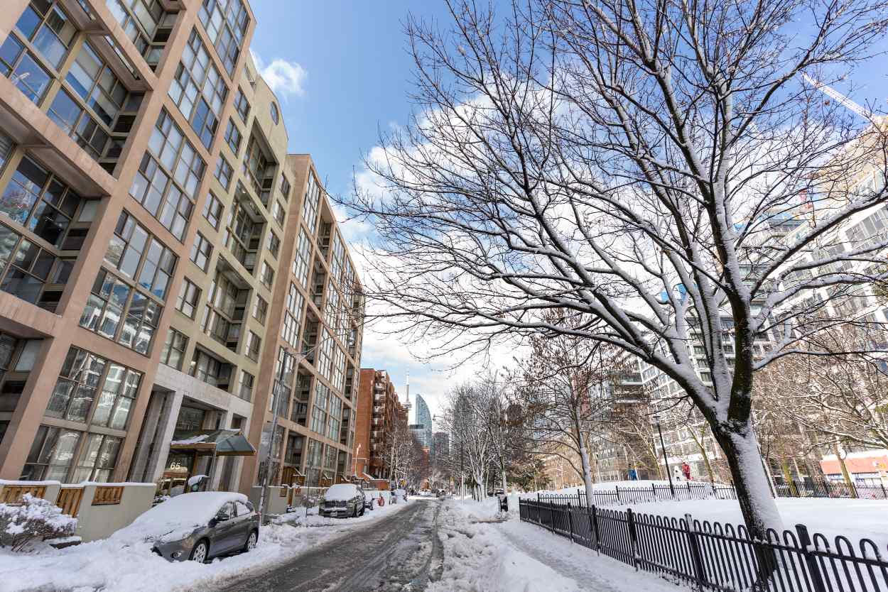 65 Scadding Avenue, Unit 804 - David Coffey