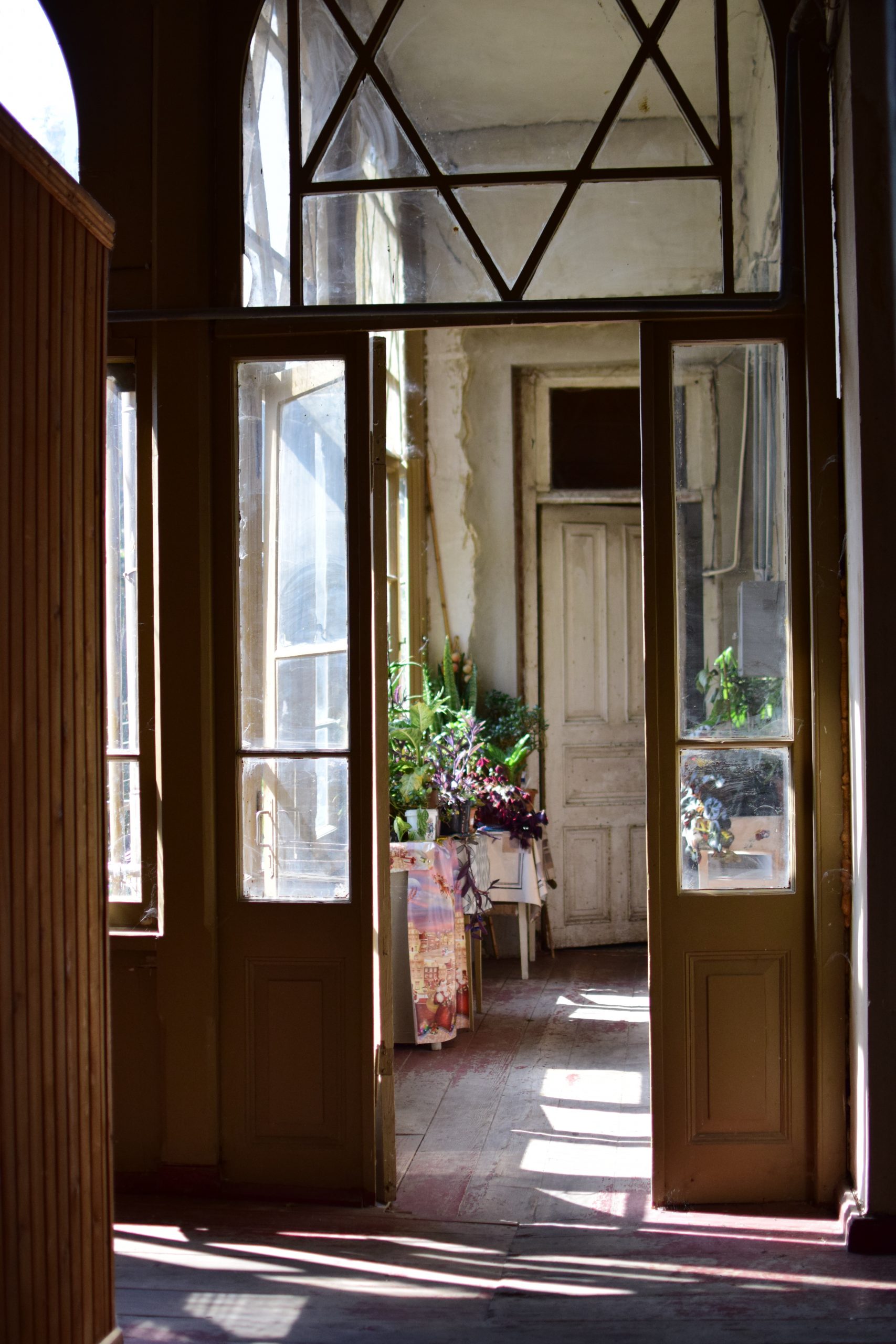 Are Condo Sunrooms Making a Comeback? - David Coffey